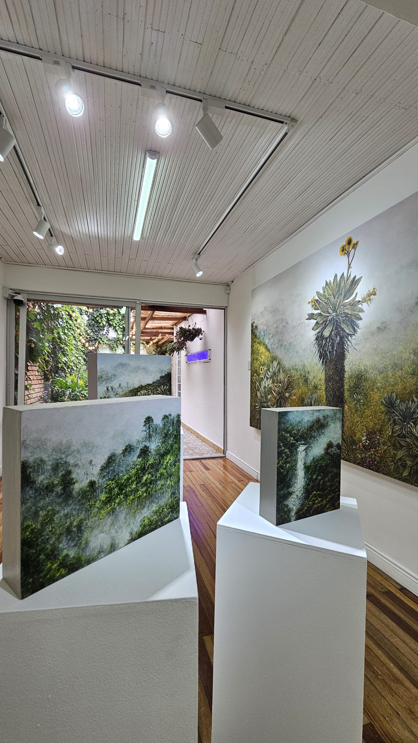 INICIO - Adrián Ibáñez Galería